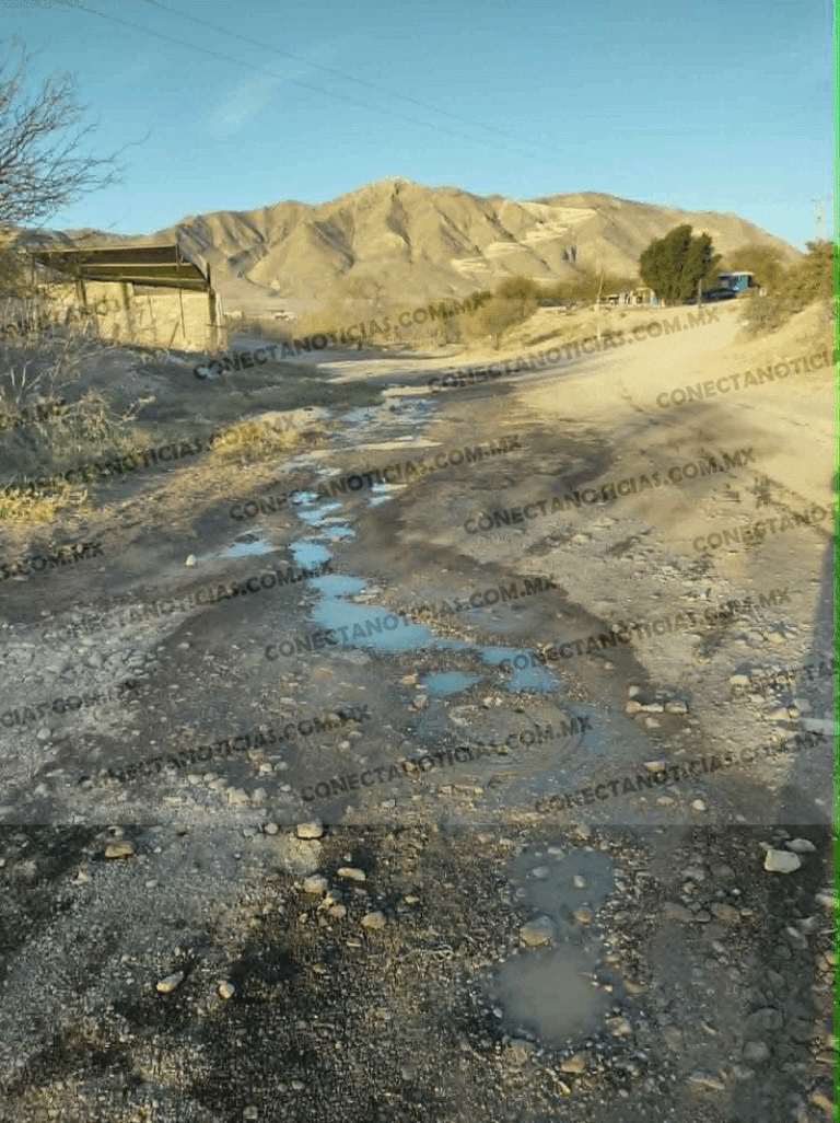 Aguas negras corren por calles de Altavista; vecinos alertan sobre ...